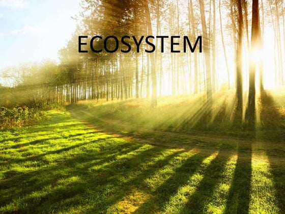 concept of ecosystem | PPTX | Geography | Science