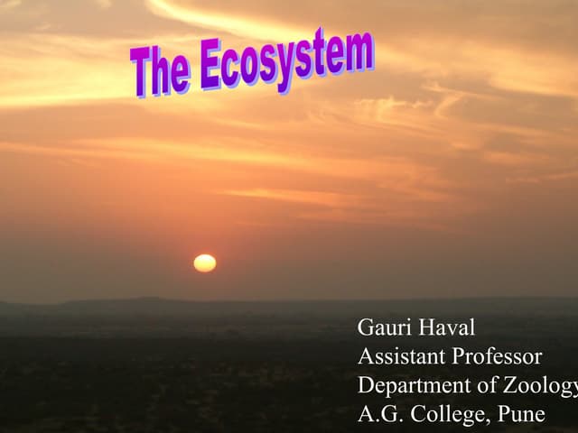 ecosystem class 12 ppt investigatory project | PPTX