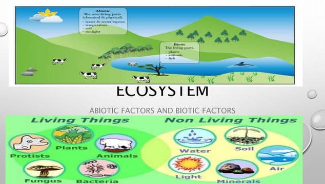 Biotic Living Things