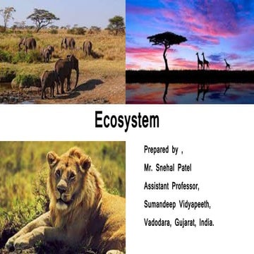 Ecosystem | PPT