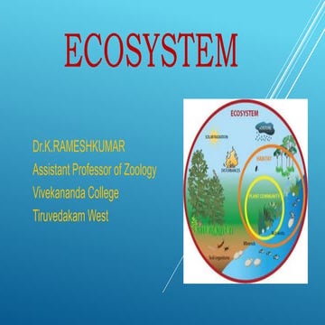 Ecosystem - structure and dynamics | PPT