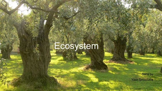 Ecosystem:Structure and Function | PPTX