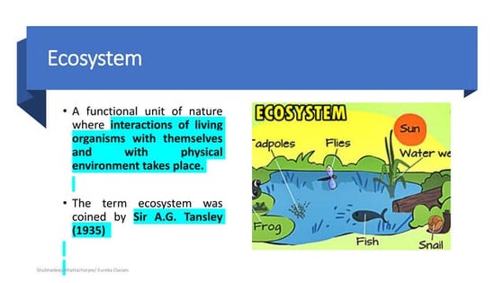 Ecosystem:Structure and Function | PPT
