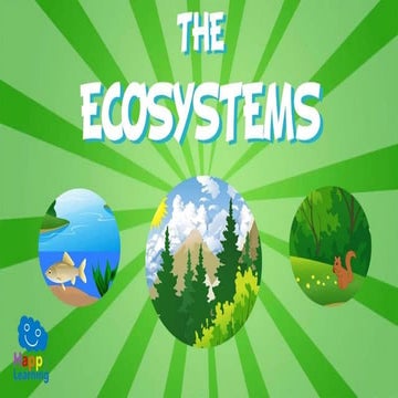 Living Things and their Environment | PDF