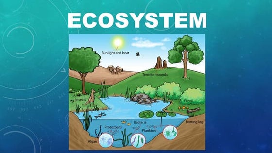 CLASS 7 PPT SCIENCE : FOREST OUR LIFE LINE CBSE | PPT