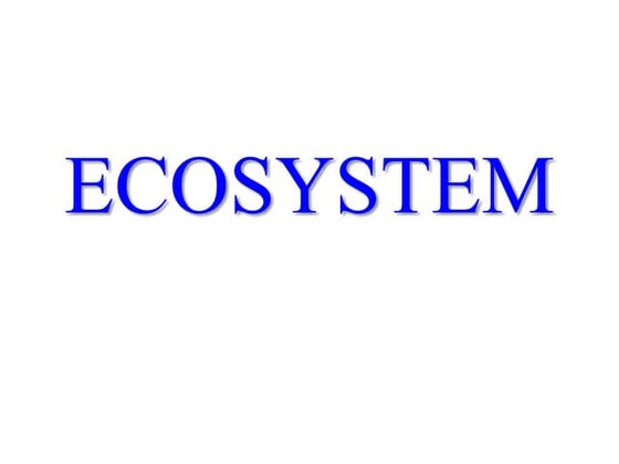Eco system class 12th | PDF