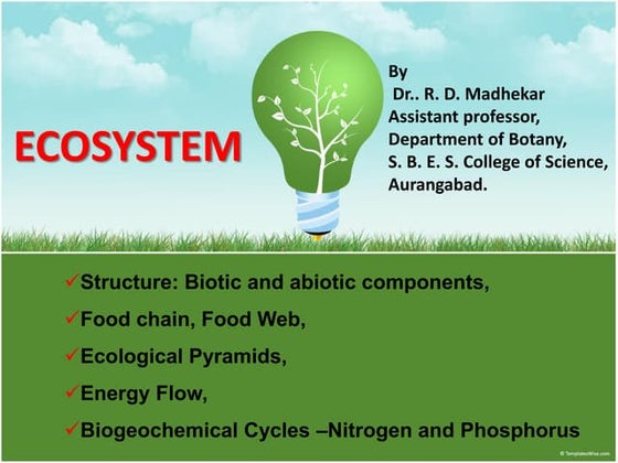 Ecosystem:Structure and Function | PPT