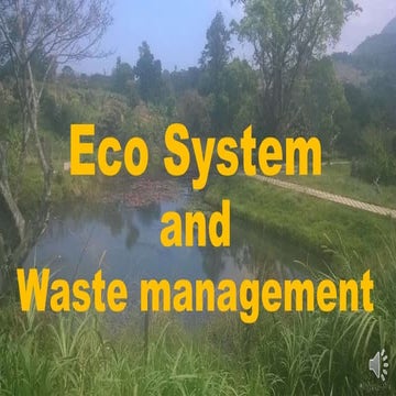 Eco system | PPTX