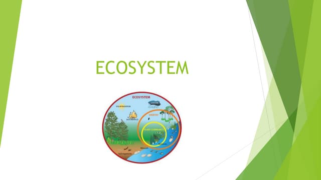 Relationships in Ecosystems | PPT