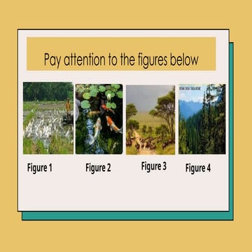 ECOSYSTEM Interaction Science Grade 8 - 2024.pptx