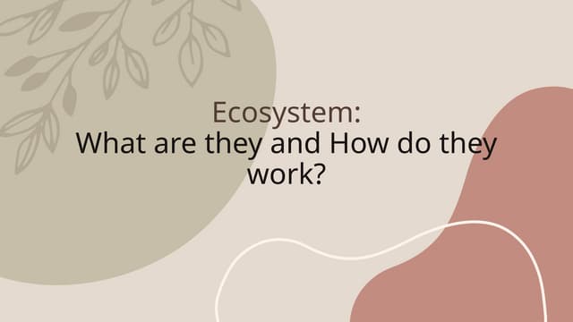 Ecosystems powerpoint | PPTX