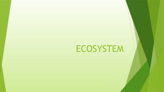 Ecosystem:Structure and Function | PPT