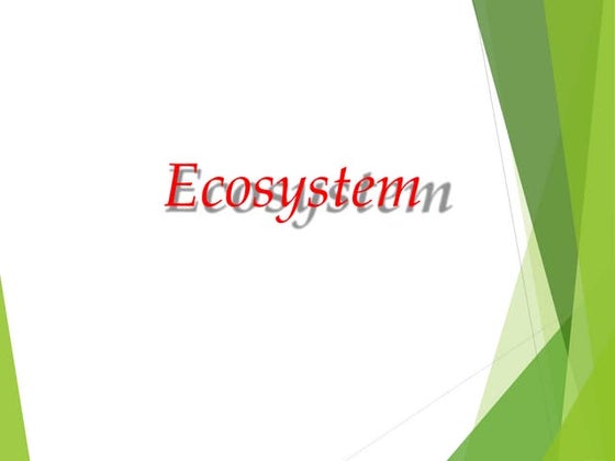 Ecosystem:Structure and Function | PPT