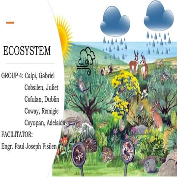 INTRODUCTION TO ECOSYSTEM | PPTX