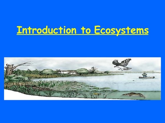 Ecosystem | PPT