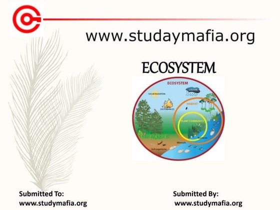 ECOSYSTEM (Hazards and safety management) | PPT
