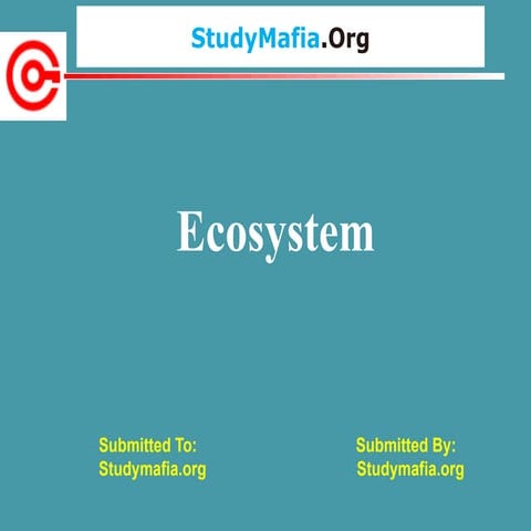 Comprehensive Overview of Ecosystems: Types, Structure, and Functions ...