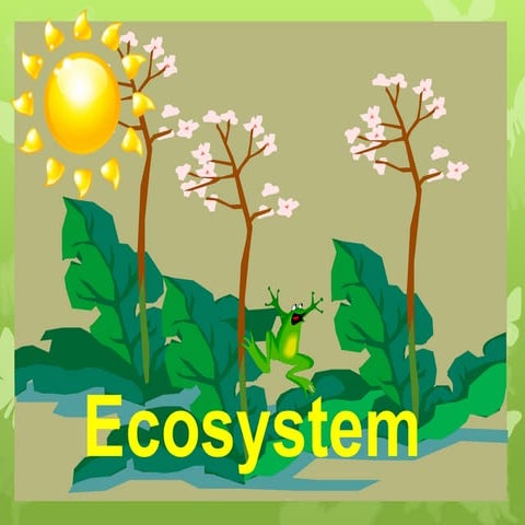 EVS - food chain and web.p. p. tx | PPTX