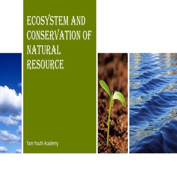 Ecology: Symbiotic Relationships | PPT