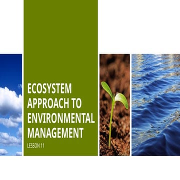 ECOSYSTEM APPROACH TO ENVIRONMENTAL MANAGEMENT.pptx