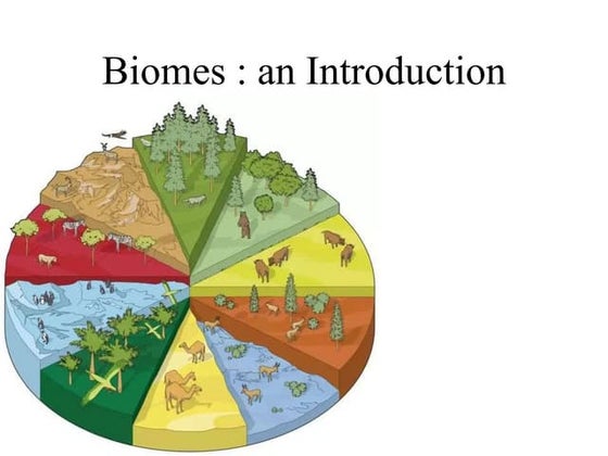 Biomes and ecosystems | PPTX