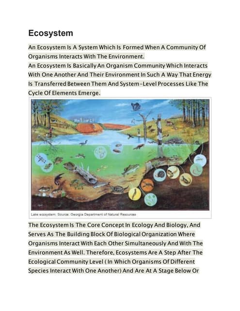 ecosystem class 12 ppt investigatory project | PPTX