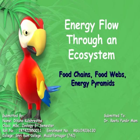 EcosystemEnergyFlow for kids academy.ppt