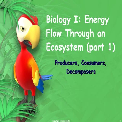 Ecosystem energy flow (part 1) | PPT