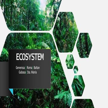 Ecosystem Powerpoint | PPT