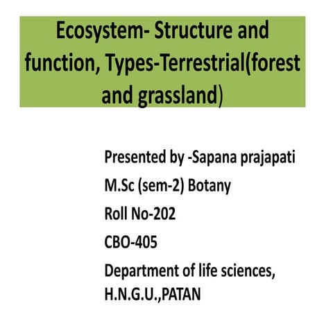 Ecosystem function type teristrial(forest and grassland) | PPTX