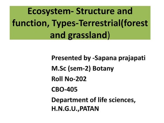 ECOSYSTTEM.pptx for class 12 biology, 2024 | PPTX