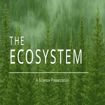 Ecosystem geography social science fun photo school project ...