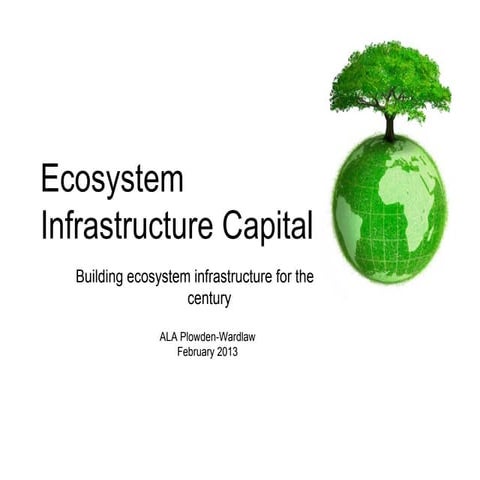 Ecosystem infrastructure capital 080713 | PDF