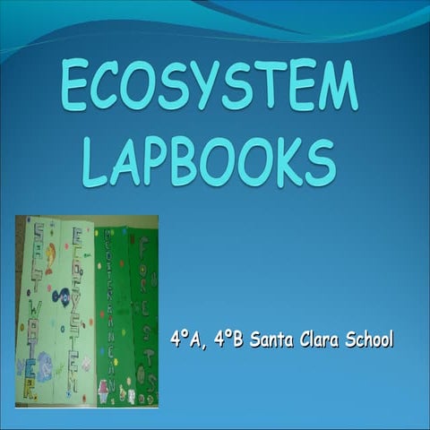 Ecosystem lapbooks | PPT