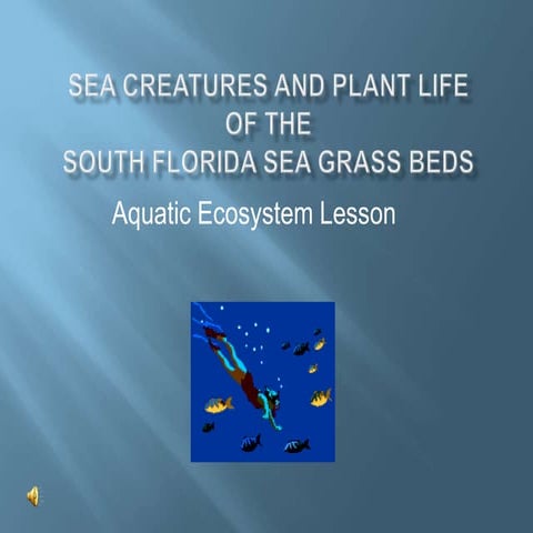 Aquatic Ecosystem lesson | PPSX