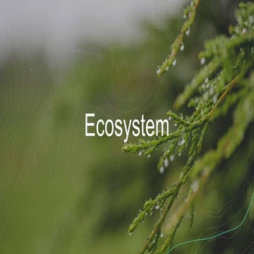 ECOSYSTEM NOTES .pptx