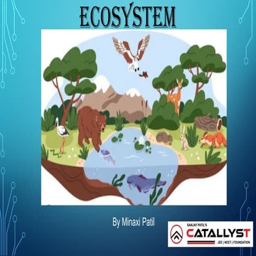 ECOSYSTEM pdf ..pdf