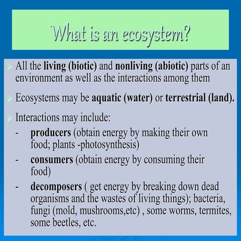 Ecosystem powerpoint | PPT
