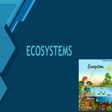 ECOSYSTEM PPT.pptx