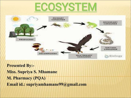 ecosystem concept of eco system,structure and function of ecosystem.pptx
