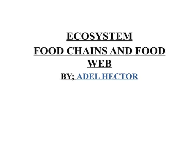 Food Chain and Food Web | PPTX