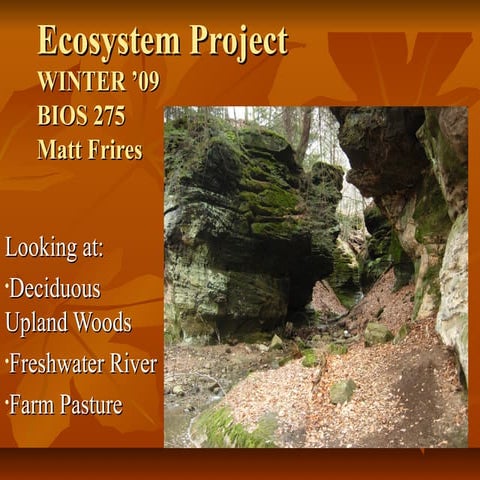 Ecosystem Project | PPT