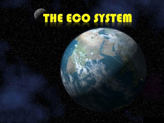 Ecological pyramids ppt | PPTX | Biological Sciences | Science