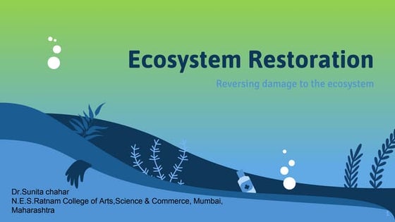 Ecological succession | PDF | Landscaping | Home & Garden