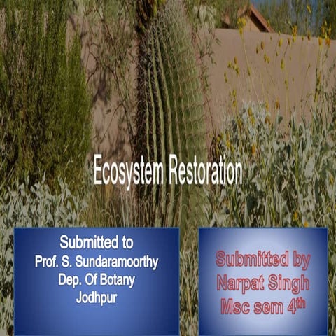 Ecosystem Restoration restore ecosystem | PPTX