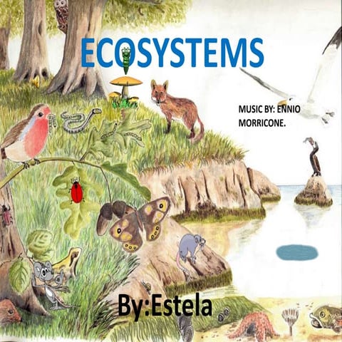 Ecosystems | PPT