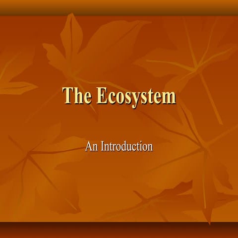 Ecosystems | PPT