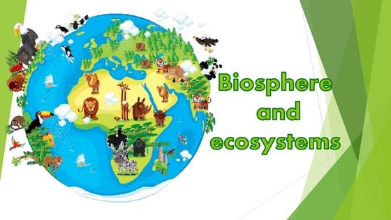 Ecosystems For Grades 4-6 | PPT