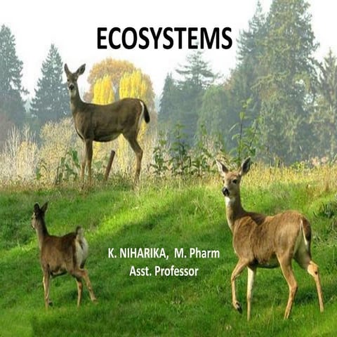 Ecosystems | PPT