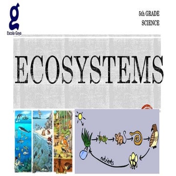 Ecosystems powerpoint | PPTX